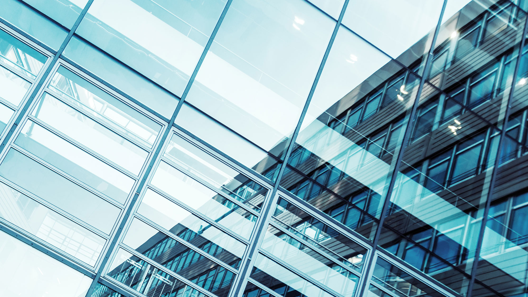 Torys announces new partners and counsel | About | Torys LLP