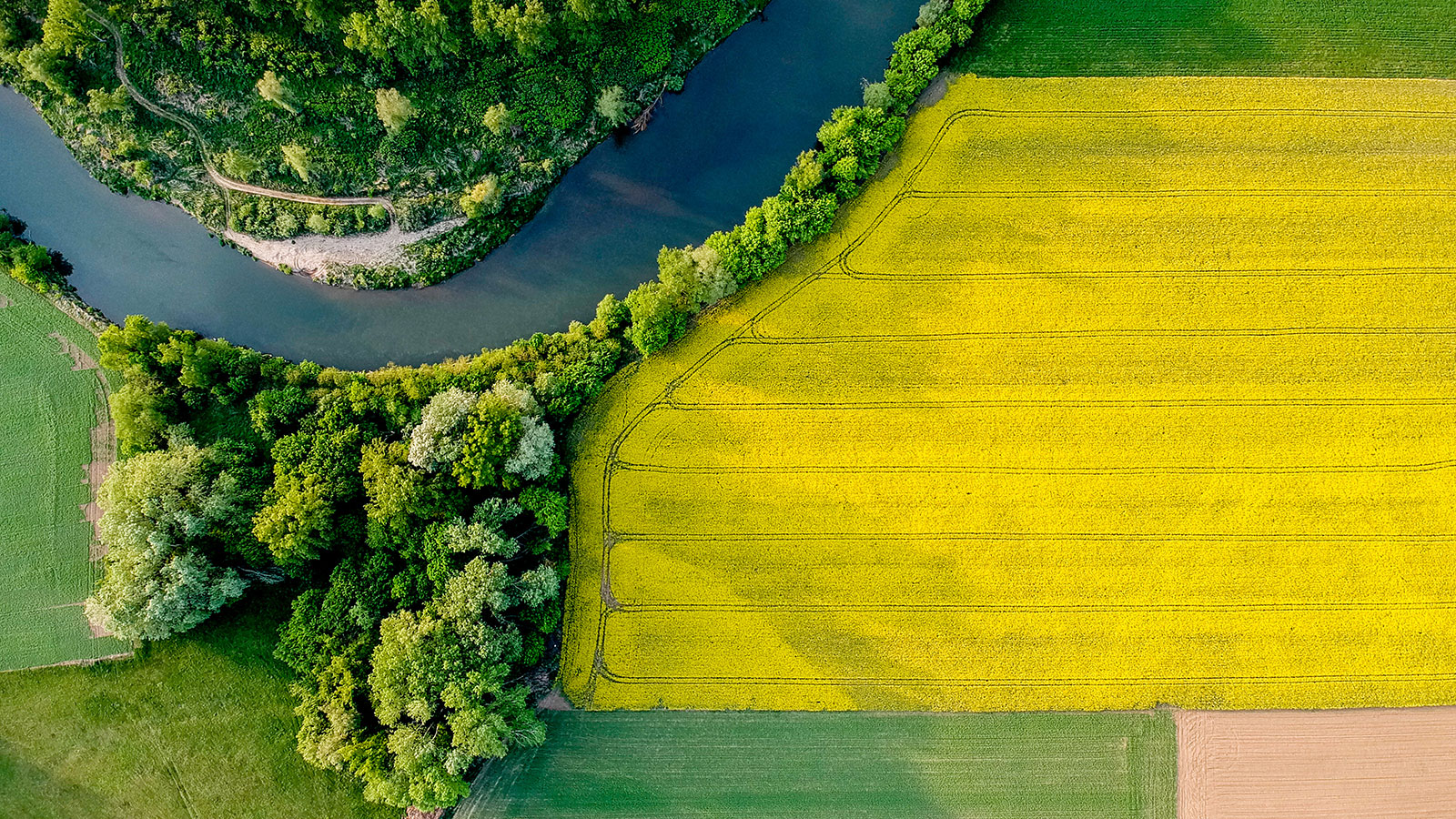 The unique opportunity of hydrogen | Torys LLP